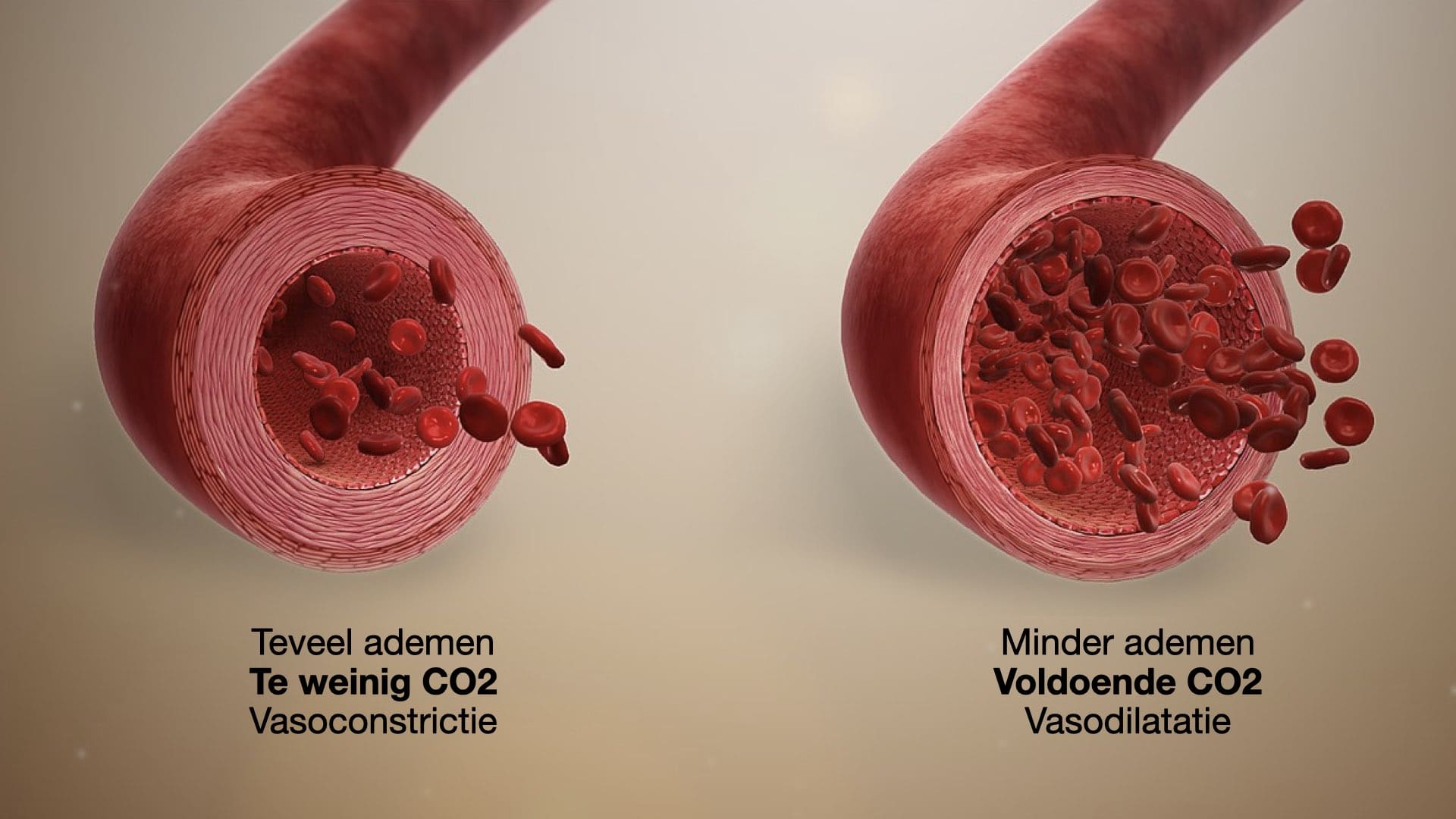 Topsport en hyperventilatie, een weinig erkend probleem - Ademwinst ...